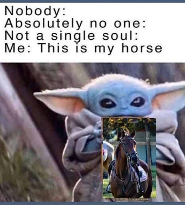 30 Funny Farm Animal Memes From The Barnyard