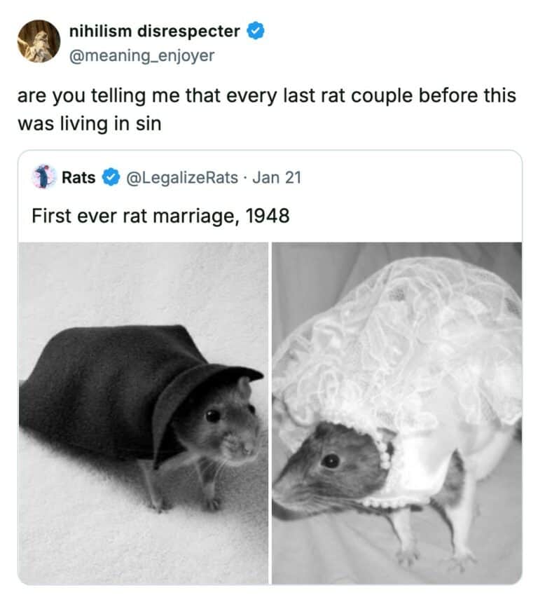 40 Funny Comments That Made Us Laugh Harder Than The Original Post This ...