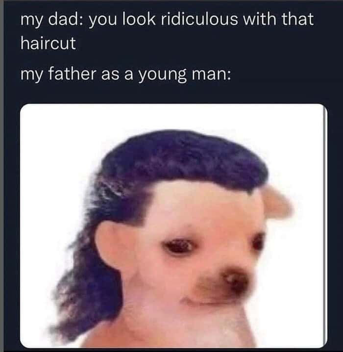 35 Funniest Dog Memes That'll Have You Howling With Laughter This Week ...