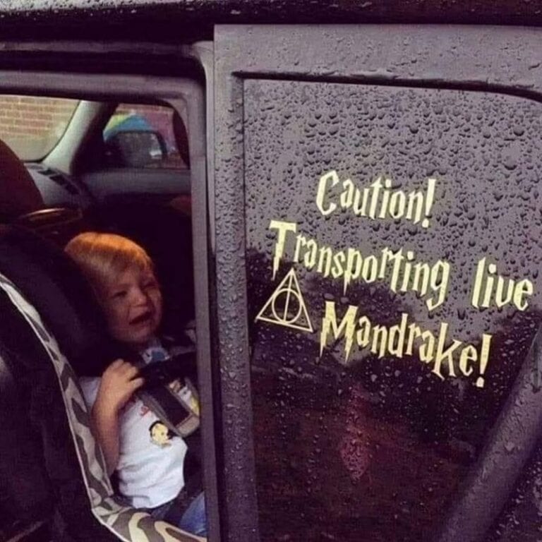 30 Funniest Harry Potter Memes That Defined 'Mischief Managed' This ...