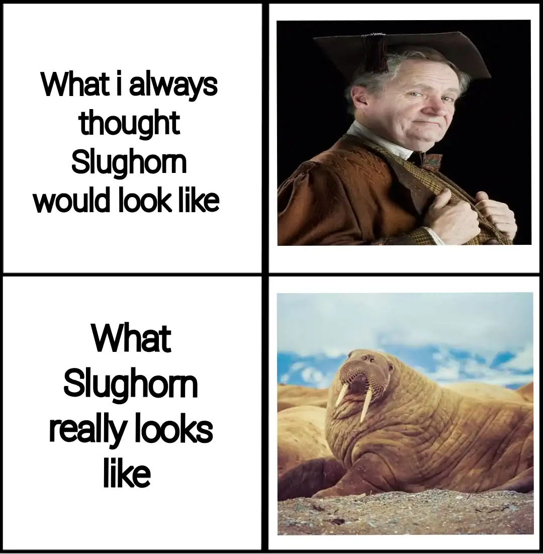 30 Funniest Harry Potter Memes That Defined 'Mischief Managed' This ...