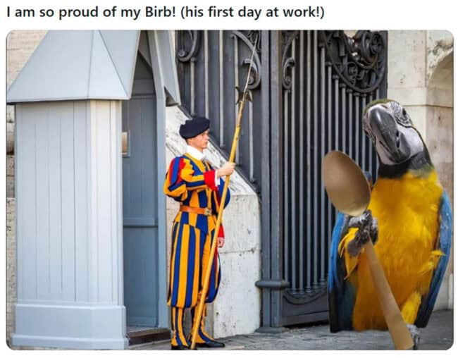 30 Funny Bird Memes That Made Us Squawk With Laughter