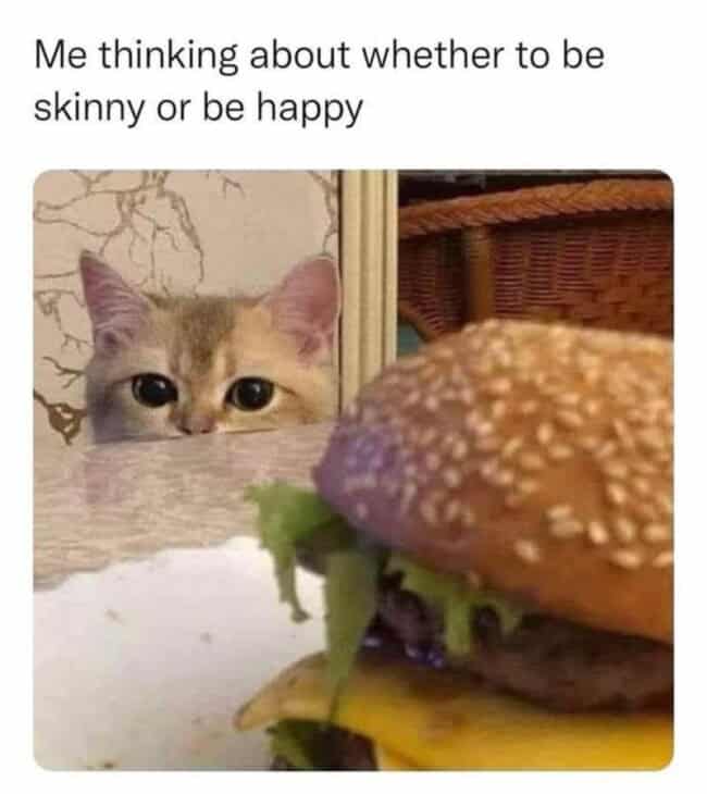30 Funniest Cat Memes Of The Week For Everyone Owned By A Feline ...