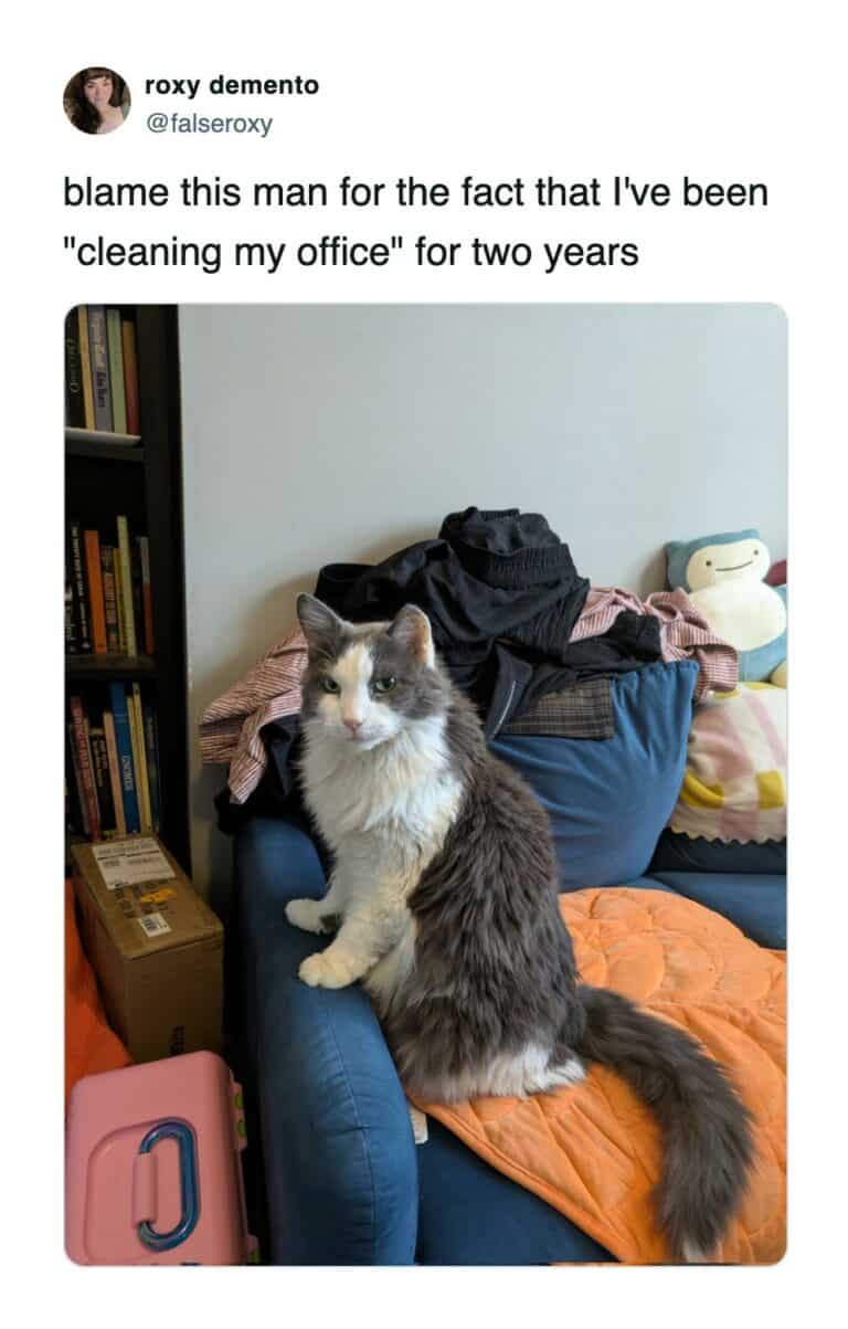 30 Funniest Cat Tweets About Feline Nonsense This Week (January 9, 2025)