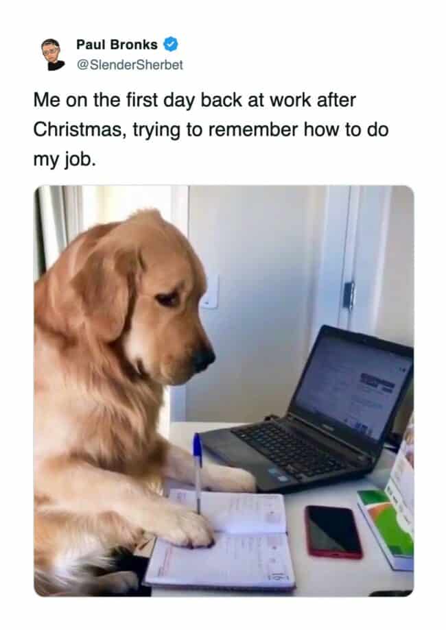 25 Funny Work Tweets For Everyone Circling Back In The New Year