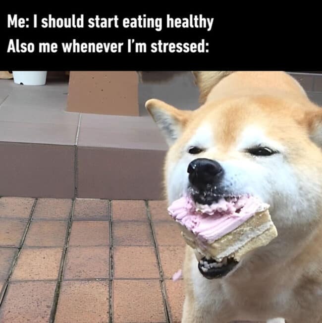 35 Comfort Food Memes To Laugh Off The Calories