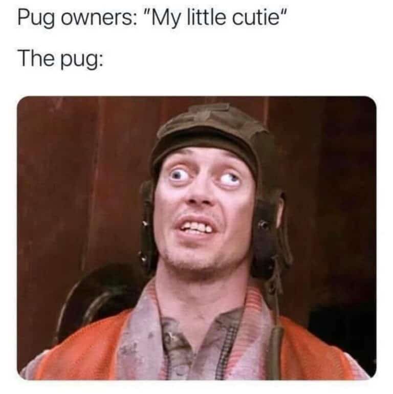 30 Funny Memes Served Fresh For Your Thursday Morning Consumption ...