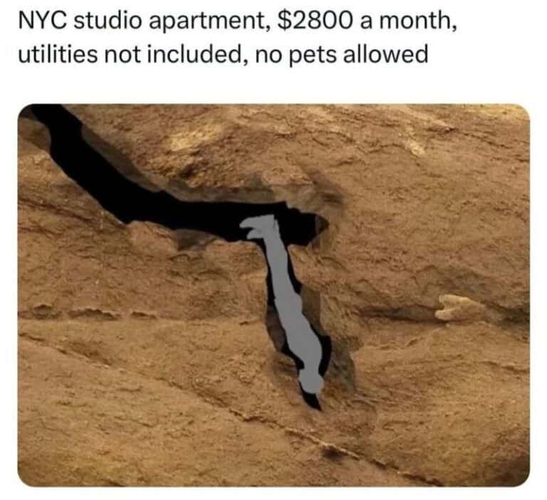 25 Funny Memes For Renters Who've Seen More Apartments Than HGTV
