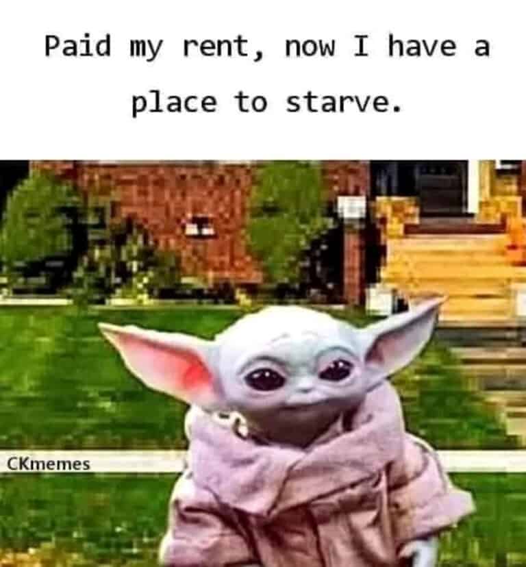 25 Funny Memes For Renters Who've Seen More Apartments Than HGTV