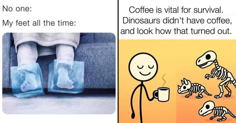 30 Funny Memes Served Fresh For Your Thursday Morning Consumption ...