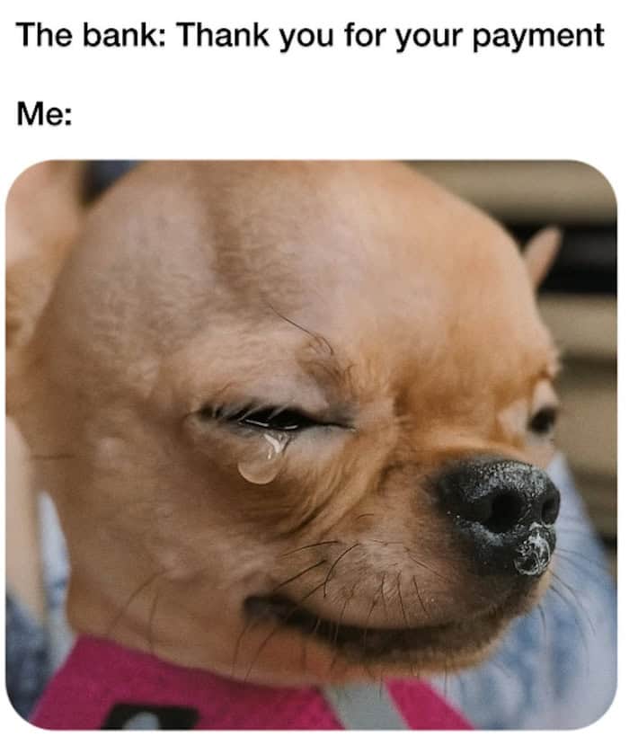 35 Funny Money Memes For Laughing On A Budget In The New Year