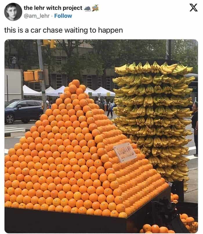 35 Random Memes That Have Nothing In Common Except Making You Laugh ...