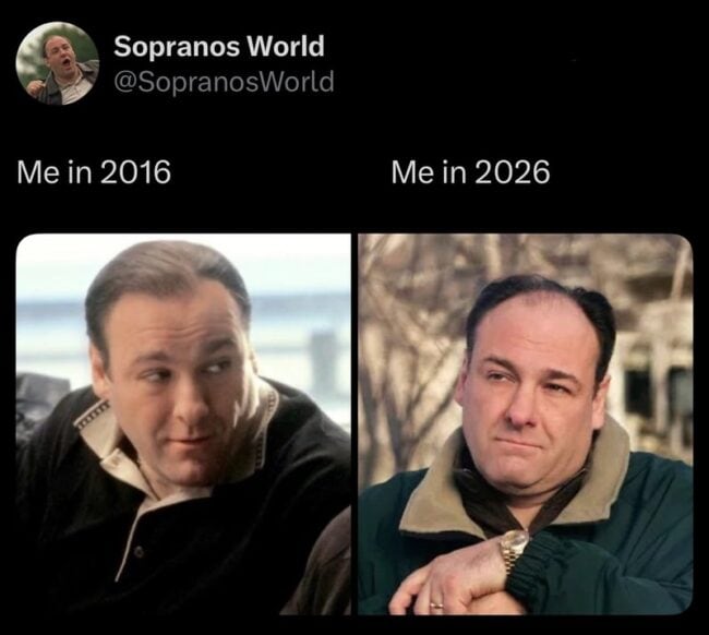30 Funny Sopranos Memes For Fans Who Quote Tony More Than They Should