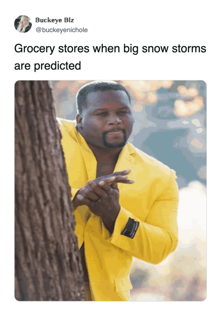 40 Funniest Tweets About This Weekend's Winter Storm For Bread And Milk ...