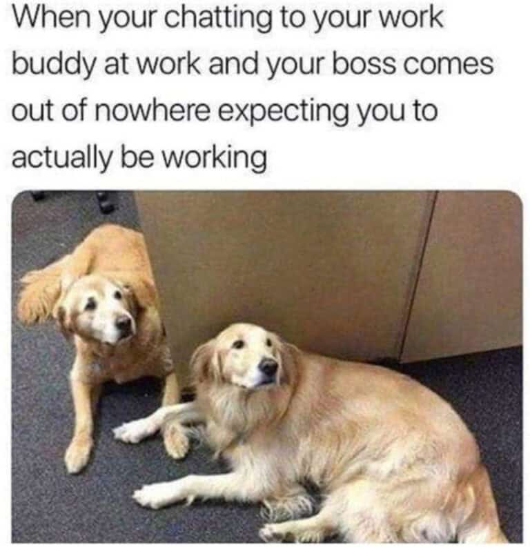 40 Funny Work Memes For A Shorter-Than-Usual Week (January 19, 2026)