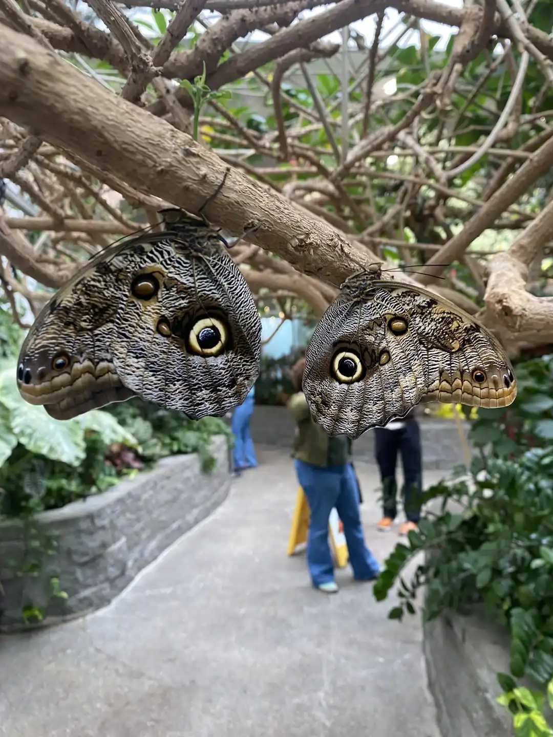 35 Mildly Interesting Pictures That Made People Look Twice This Week ...