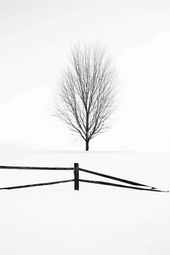 27 Award-Winning Minimalist Photos That Prove Sometimes Less Is More