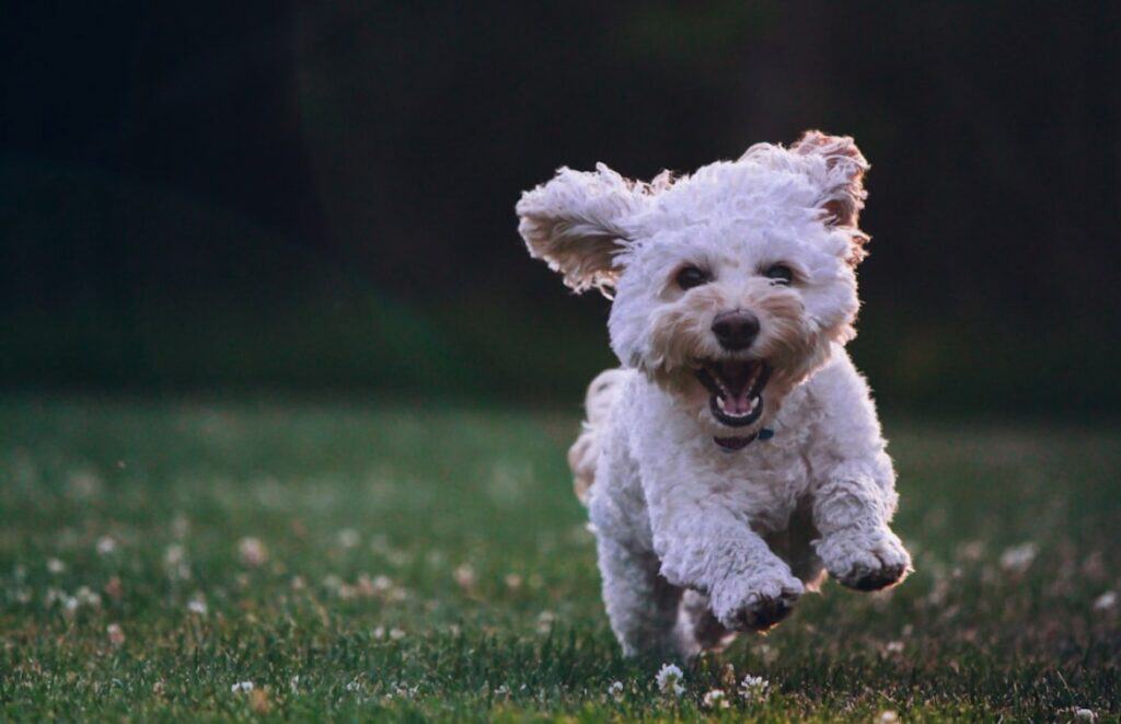 14 Bizarre Ways People Have Died That Prove Death Has A Sense Of Humor
