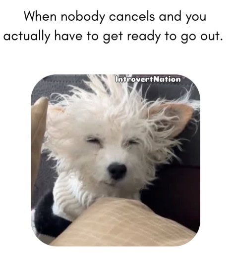 30 Relatable Introvert Memes You Can Laugh At In Beautiful Solitude ...