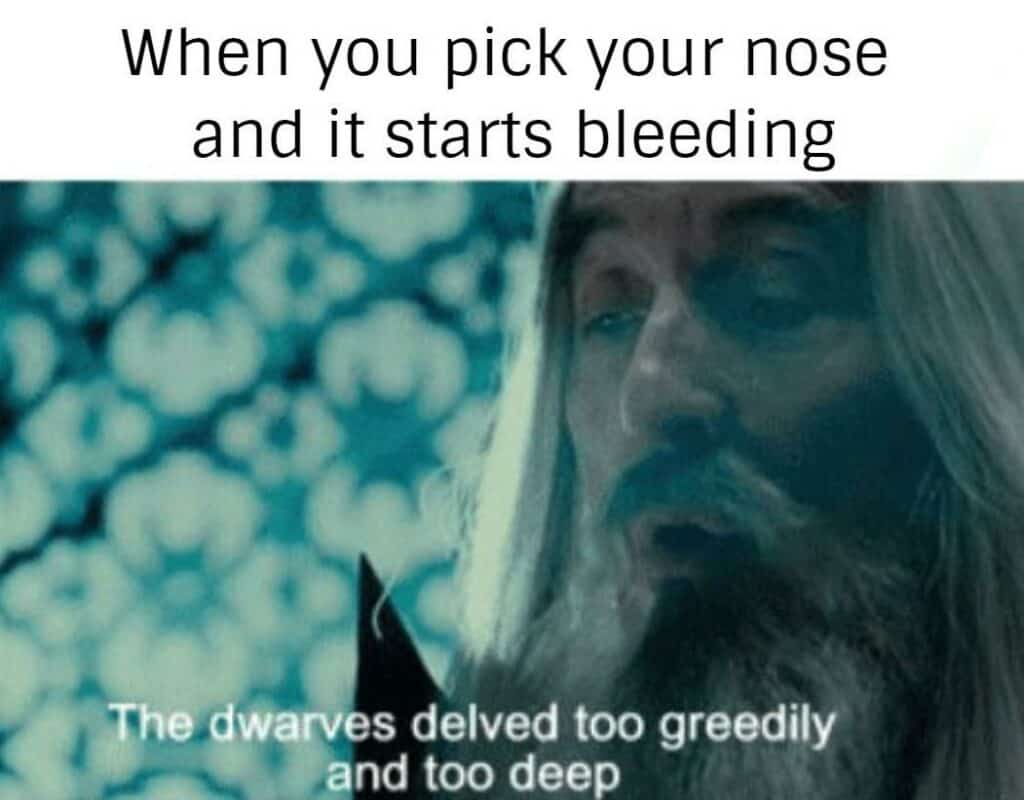 30 Relatable Lord Of The Rings Memes You Don't Have To Be A Tolkien ...