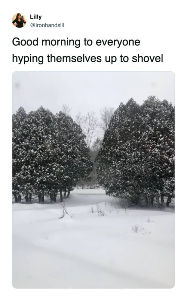 25 Funny Memes About Shoveling Snow For Everyone Who Just Finished ...