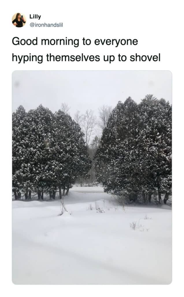 25 Funny Memes About Shoveling Snow For Everyone Who Just Finished ...