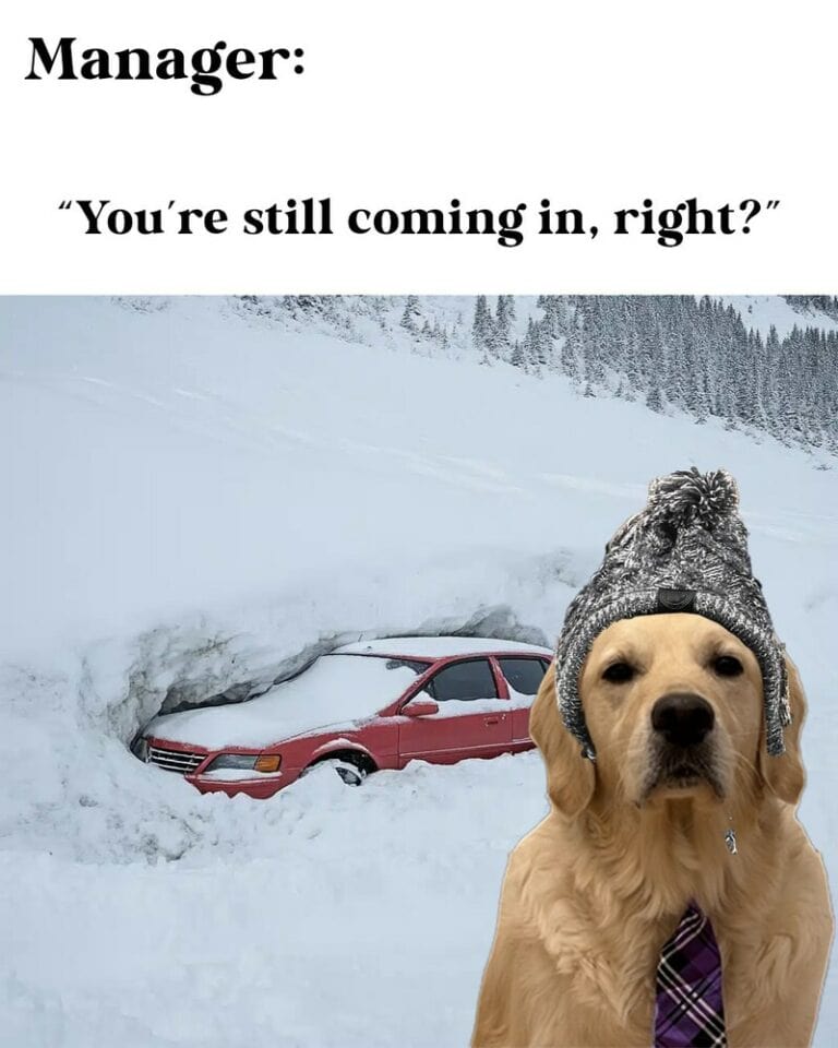 20 Memes For Anyone Commuting To Work In Winter Weather Instead Of ...
