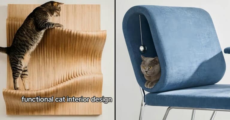 40 Creative Cat Furniture And Interior Design Ideas For Cat Lovers