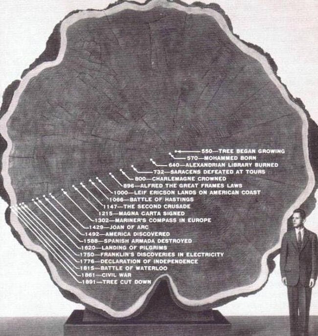 35 Fascinating Pictures Of Things Cut In Half, Revealing The Inner Workings