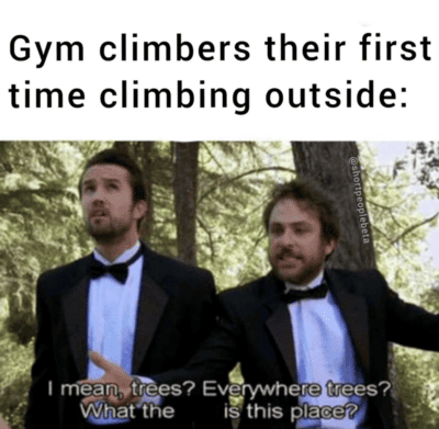 30 Funniest Always Sunny Memes The Golden God Would Absolutely Approve Of