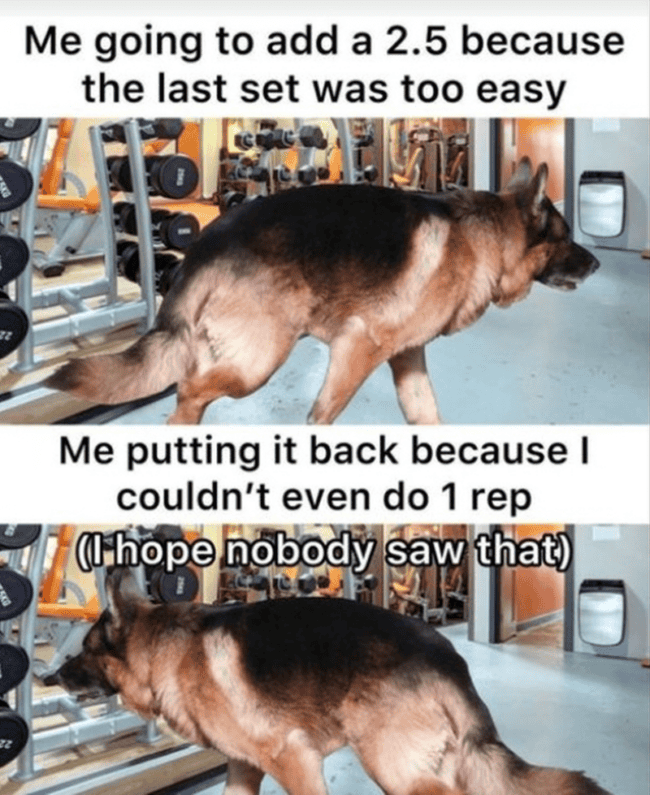 35 Funniest Gym Memes That'll Deadlift Your Spirits This Week (February ...