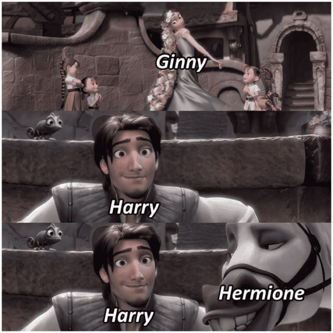30 Funniest Harry Potter Memes Even Voldemort Snorted At Through His ...