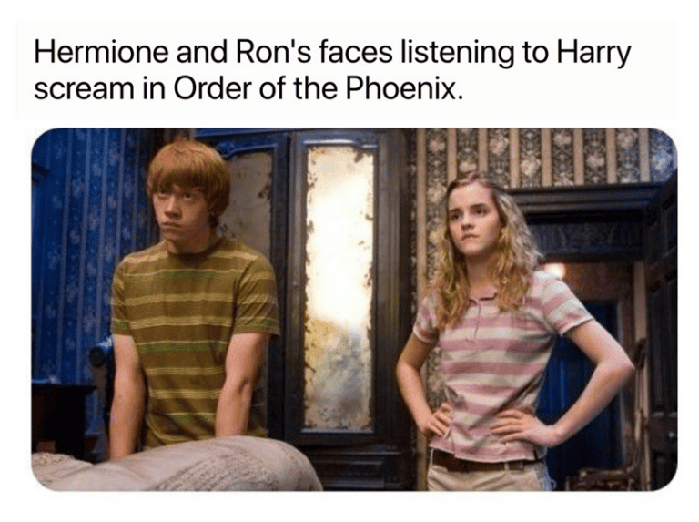 30 Funniest Harry Potter Memes Even Voldemort Snorted At Through His ...