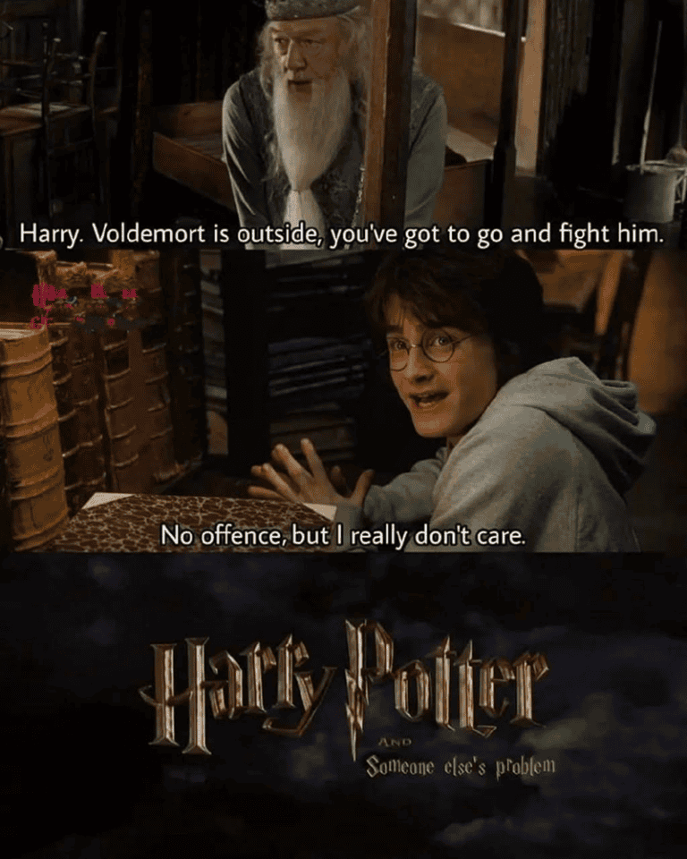30 Funniest Harry Potter Memes Even Voldemort Snorted At Through His ...