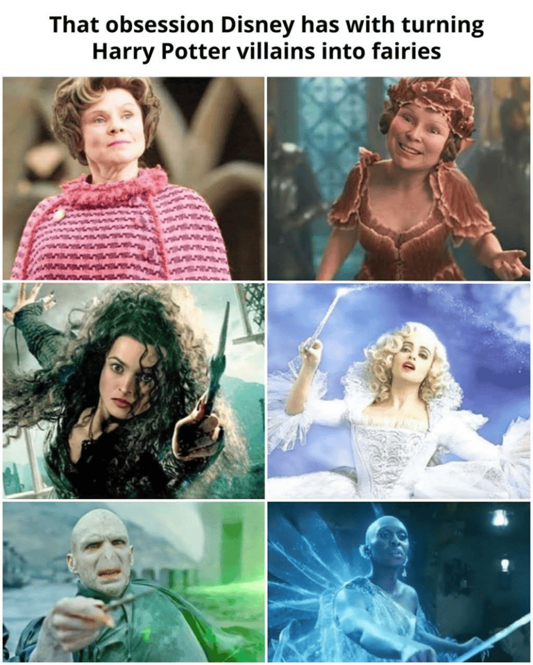 30 Funniest Harry Potter Memes Even Voldemort Snorted At Through His ...