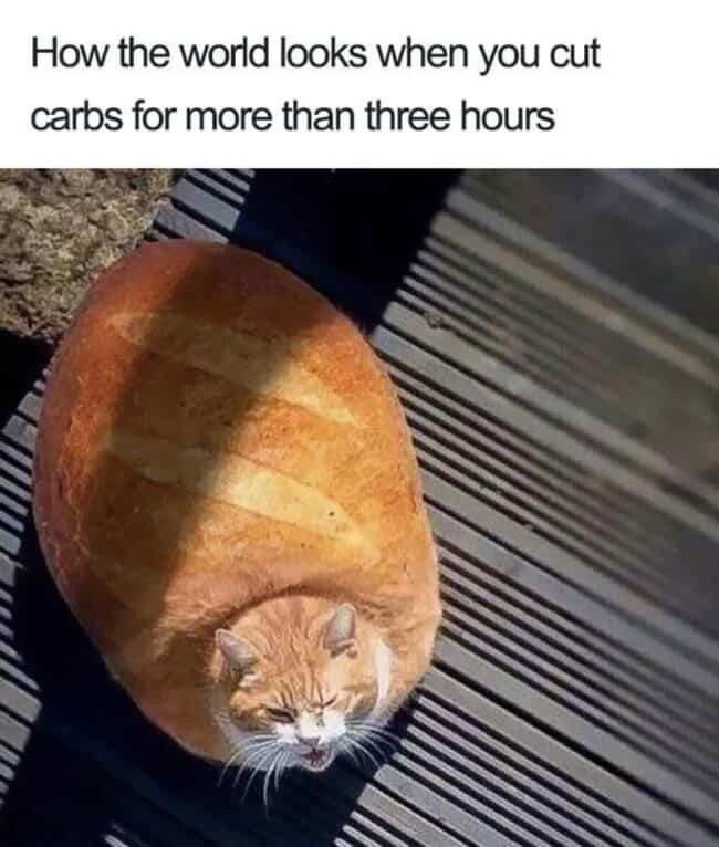 25 Cat Loaf Memes That Are Pure Bread Perfection