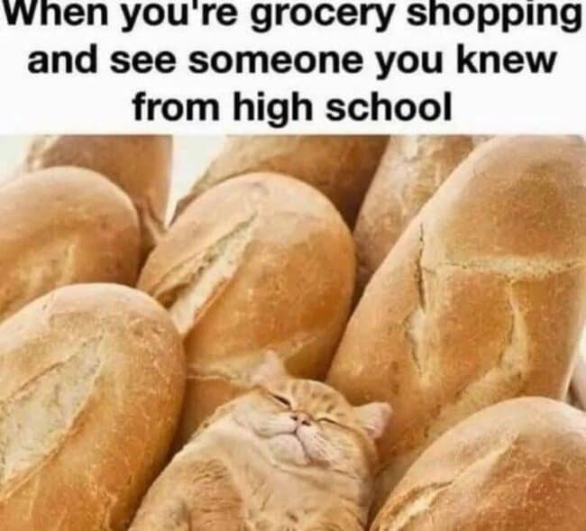 25 Cat Loaf Memes That Are Pure Bread Perfection