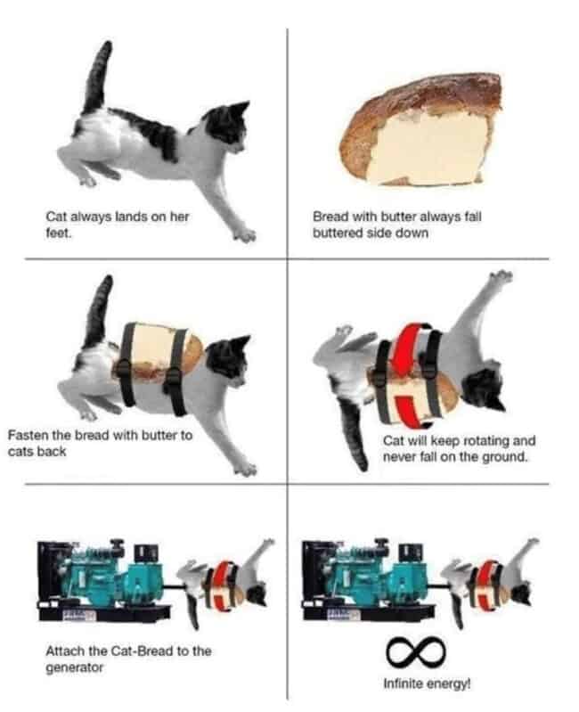25 Cat Loaf Memes That Are Pure Bread Perfection