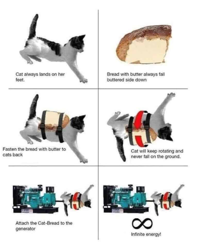 25 Cat Loaf Memes That Are Pure Bread Perfection