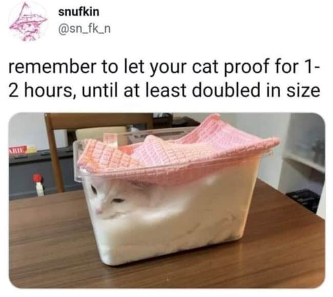 25 Cat Loaf Memes That Are Pure Bread Perfection