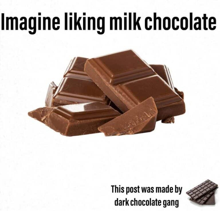 35 Chocolate Memes For People Who Love Chocolate More Than People