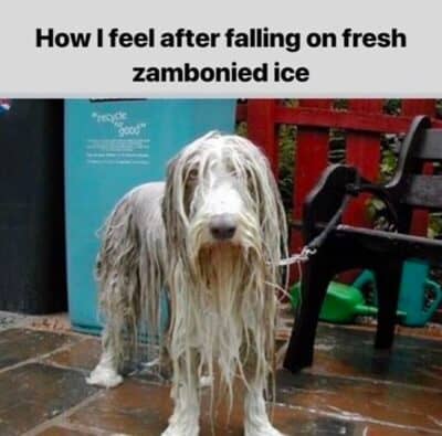 30 Figure Skating Memes To Prep You For Winter Olympics Watching