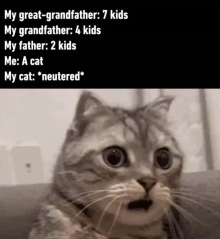 35 Funny Memes Millennials Will Feel In Their Rapidly Aging Bones
