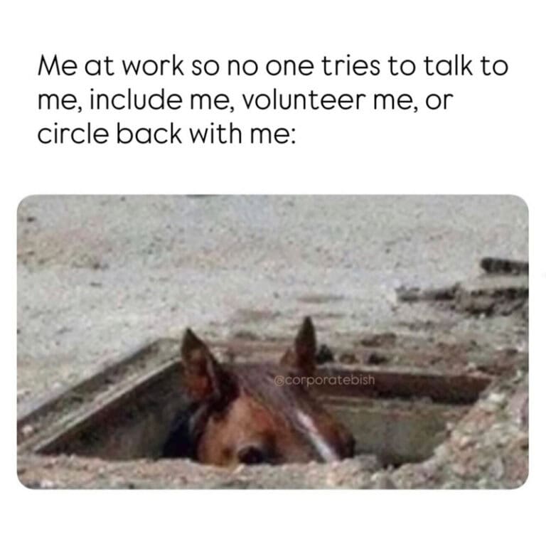 40 Work Memes This Week For Everyone Currently Avoiding Their Actual ...