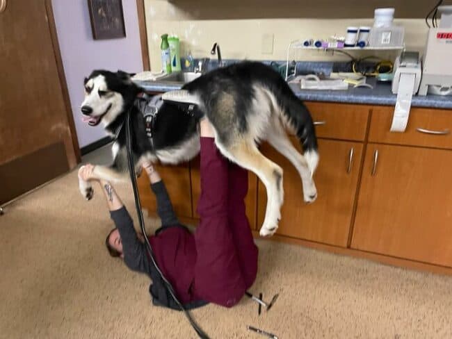 40 Interesting Behind-The-Scenes Pictures Employees Took At Their ...