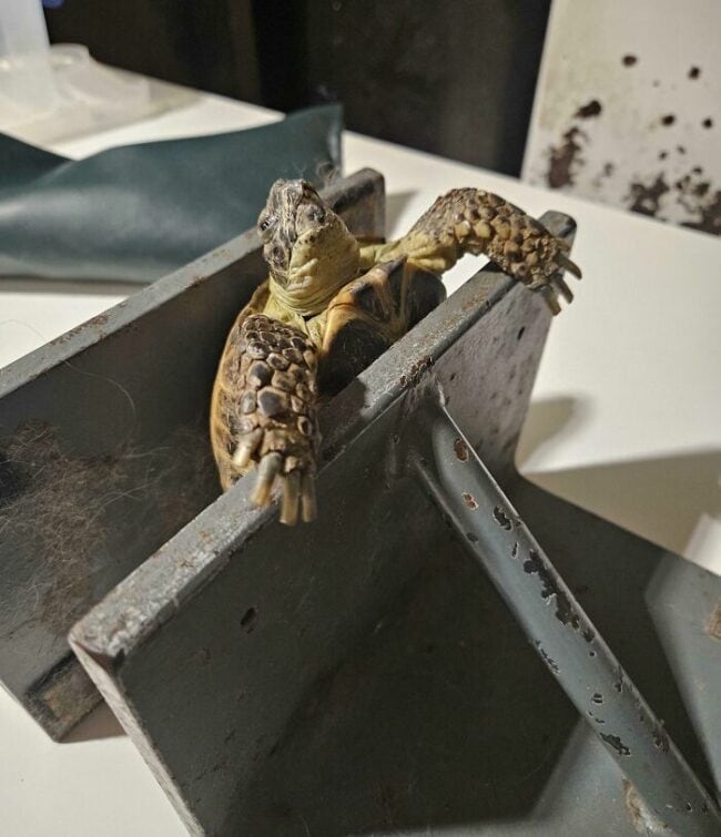 40 Interesting Behind-The-Scenes Pictures Employees Took At Their ...
