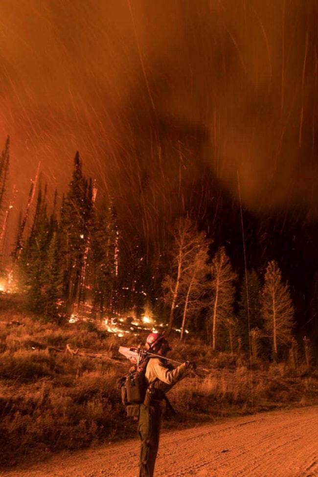 40 Interesting Behind-The-Scenes Pictures Employees Took At Their ...