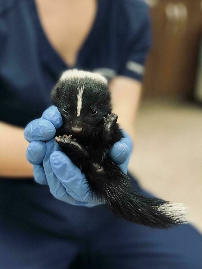 40 Interesting Behind-The-Scenes Pictures Employees Took At Their ...