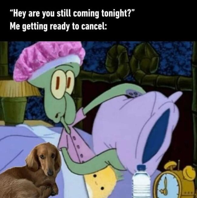 35 Relatable Introvert Memes About Canceling Plans And Being Relieved