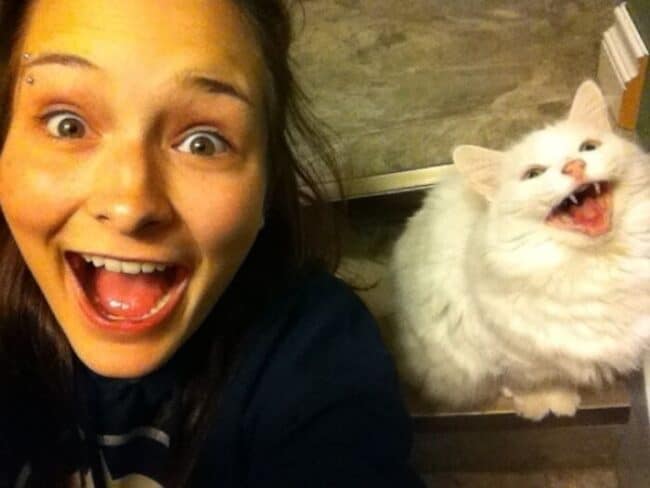 40 People Share Photos With Their Pets To Show The Uncanny Resemblance